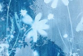 ATELIER ARTISTIQUE CYANOTYPE • ENFANTS | Enghien-les-Bains